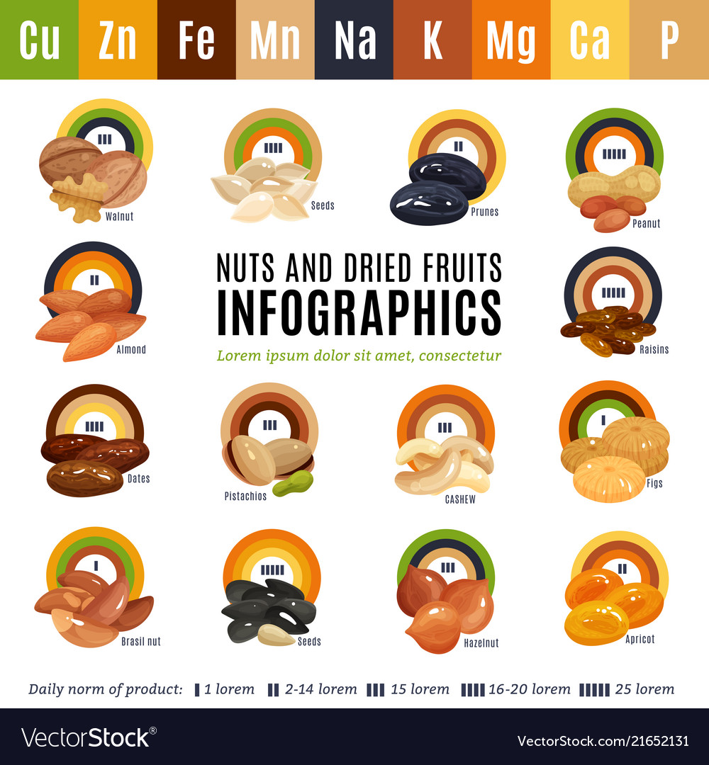 Nuts flat infographics Royalty Free Vector Image