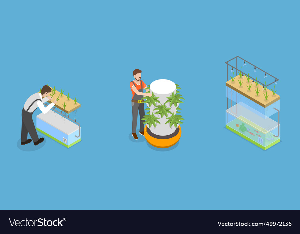3d Isometric Flat Royalty Free Vector Image Vectorstock