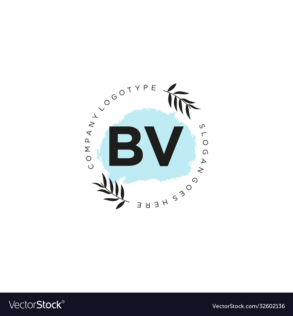 Bv letter logo icon design template elements Vector Image