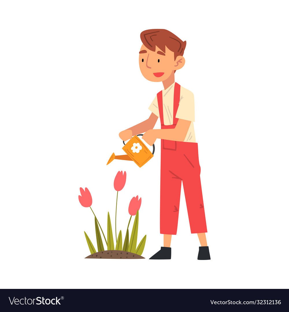 Cute boy watering tulip flowers in garden Vector Image