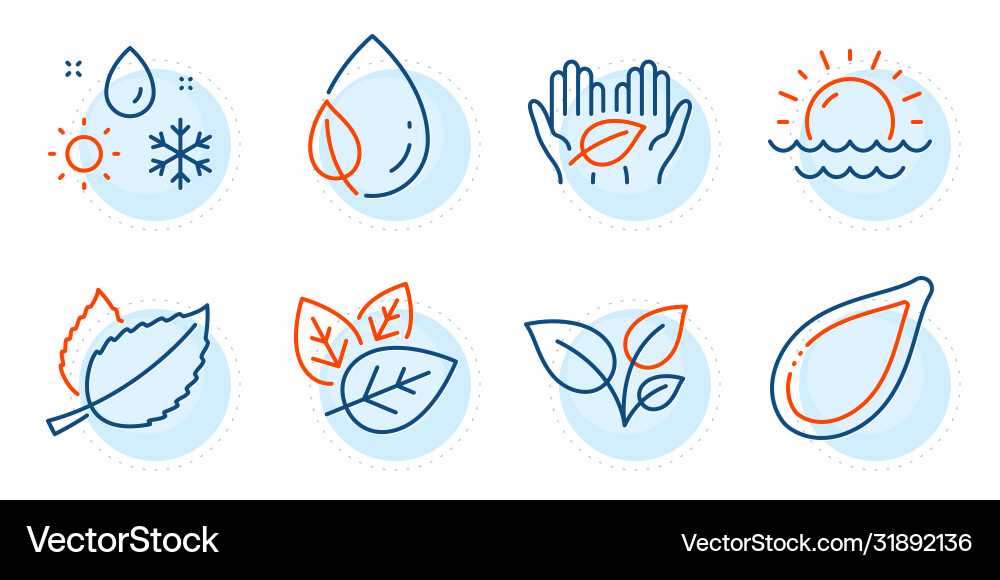 Organic tested weather and leaf dew icons set Vector Image