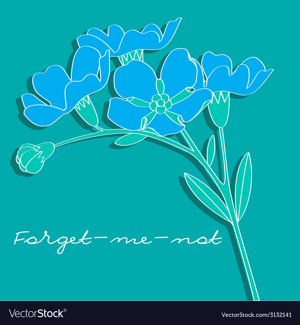 Forget-me-not Royalty Free Vector Image - VectorStock