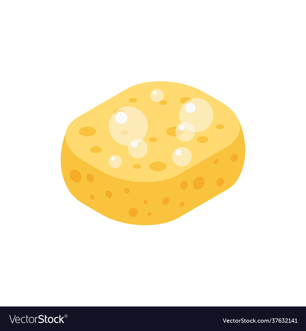 Sponge isometric icon Royalty Free Vector Image