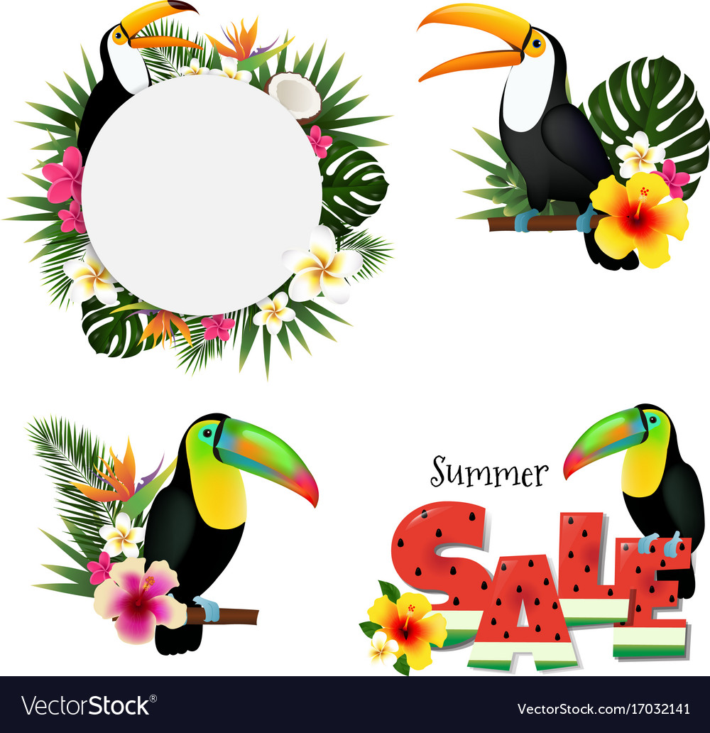 Toucans set Royalty Free Vector Image - VectorStock