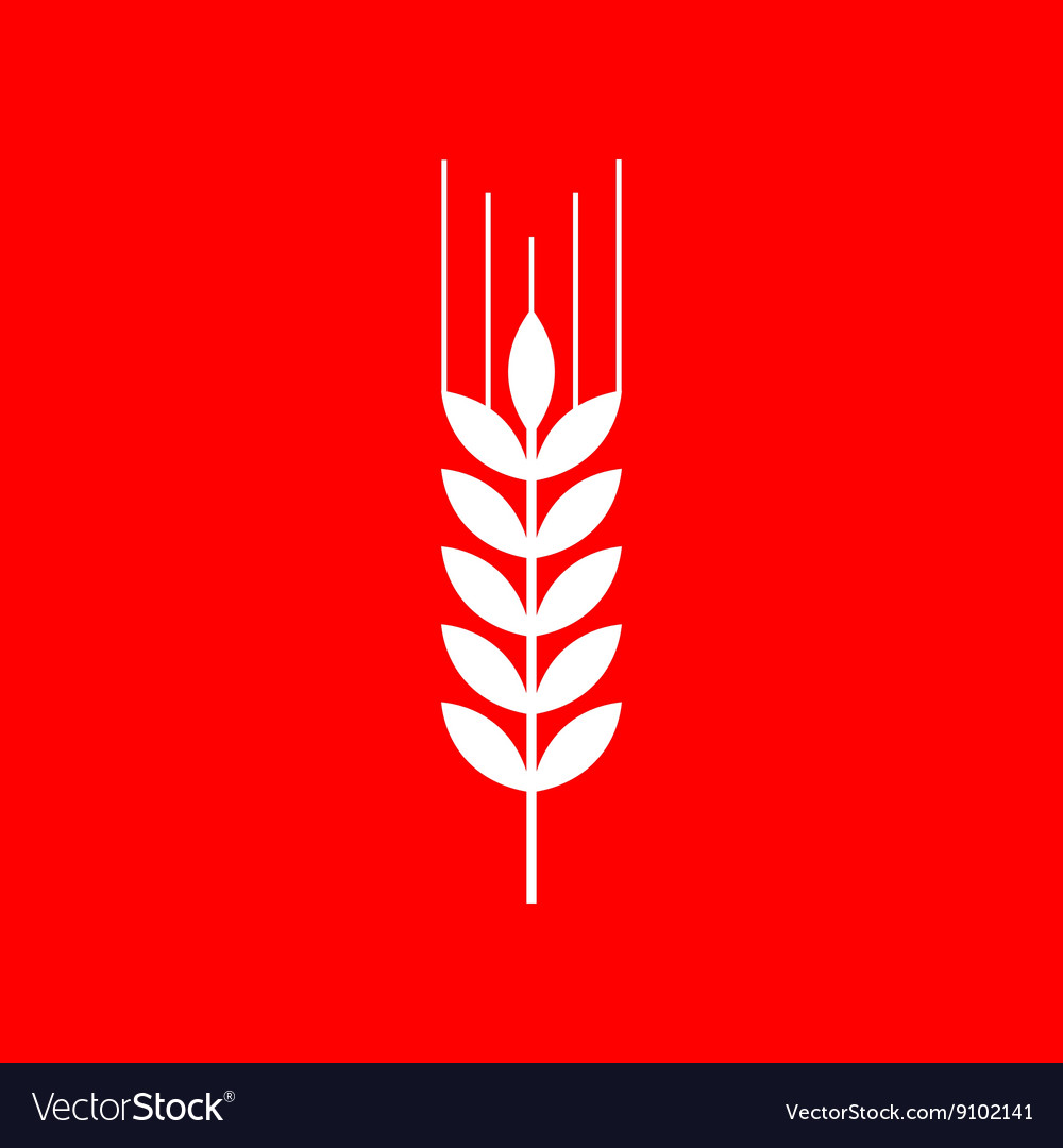 Wheat sign Royalty Free Vector Image - VectorStock