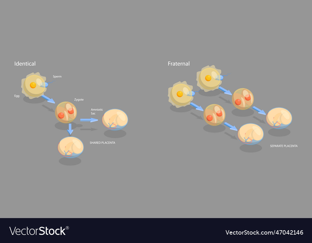 3d isometric flat conceptual Royalty Free Vector Image