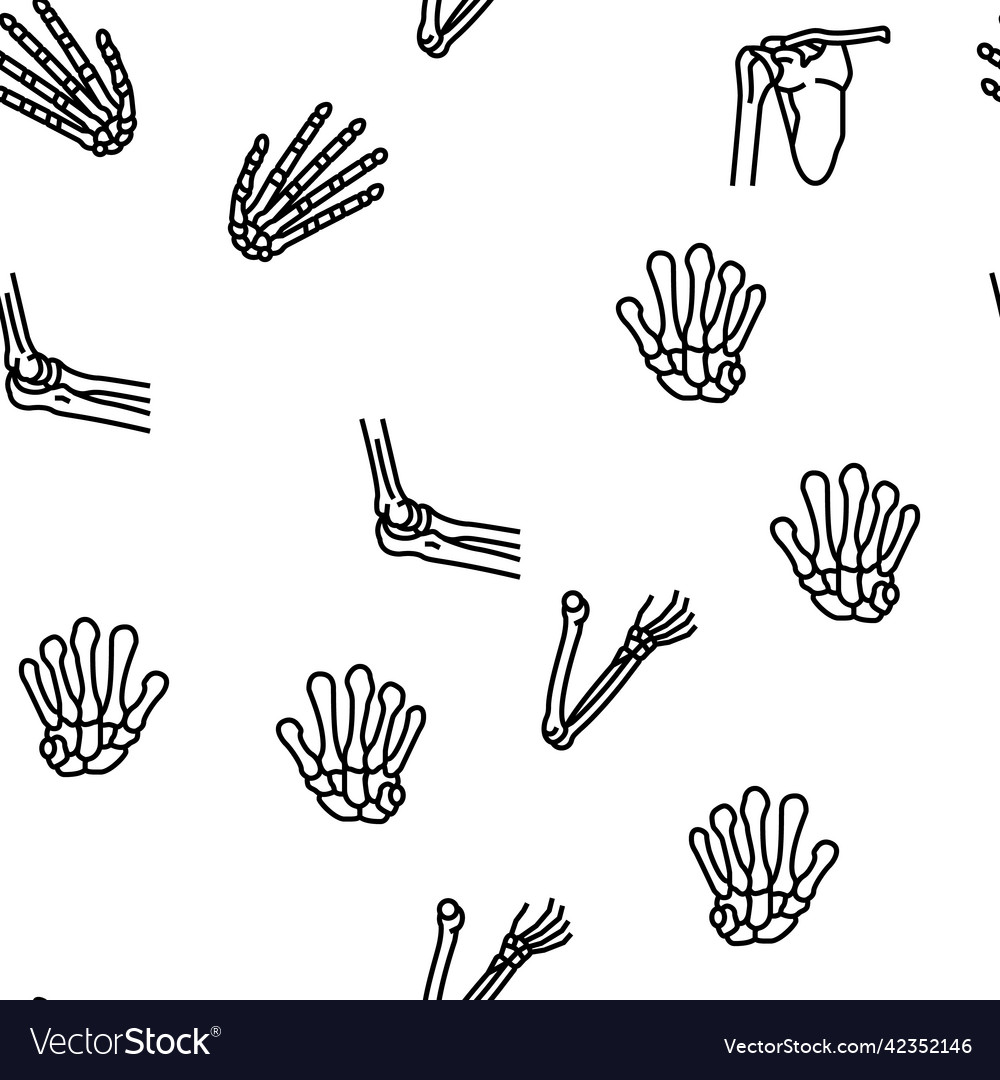 Bone Human Skeleton Structure Seamless Royalty Free Vector