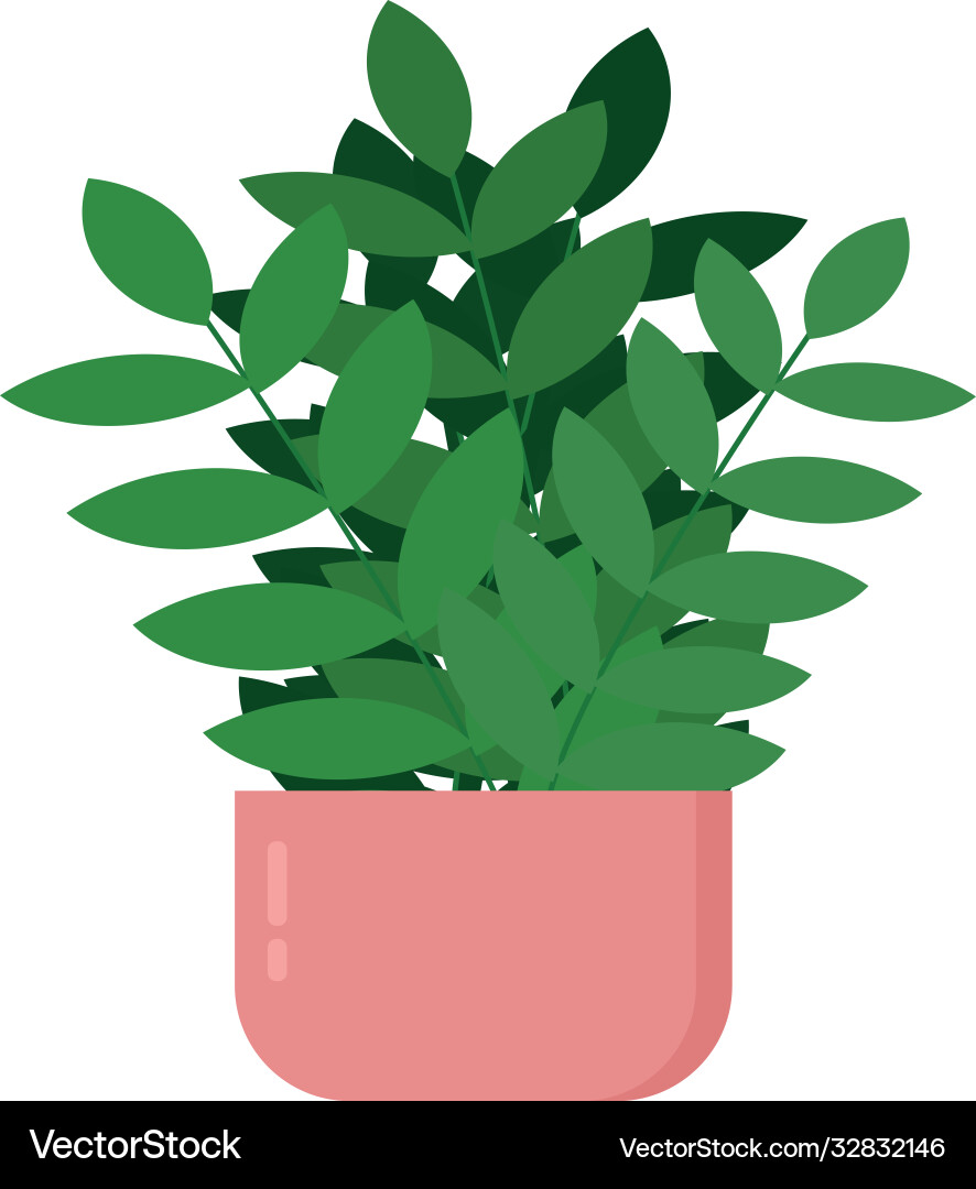 Ficus in a pot in a flat style graphic house plant