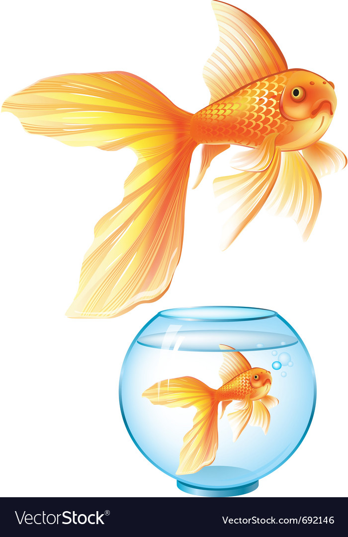 Goldfish Royalty Free Vector Image - VectorStock