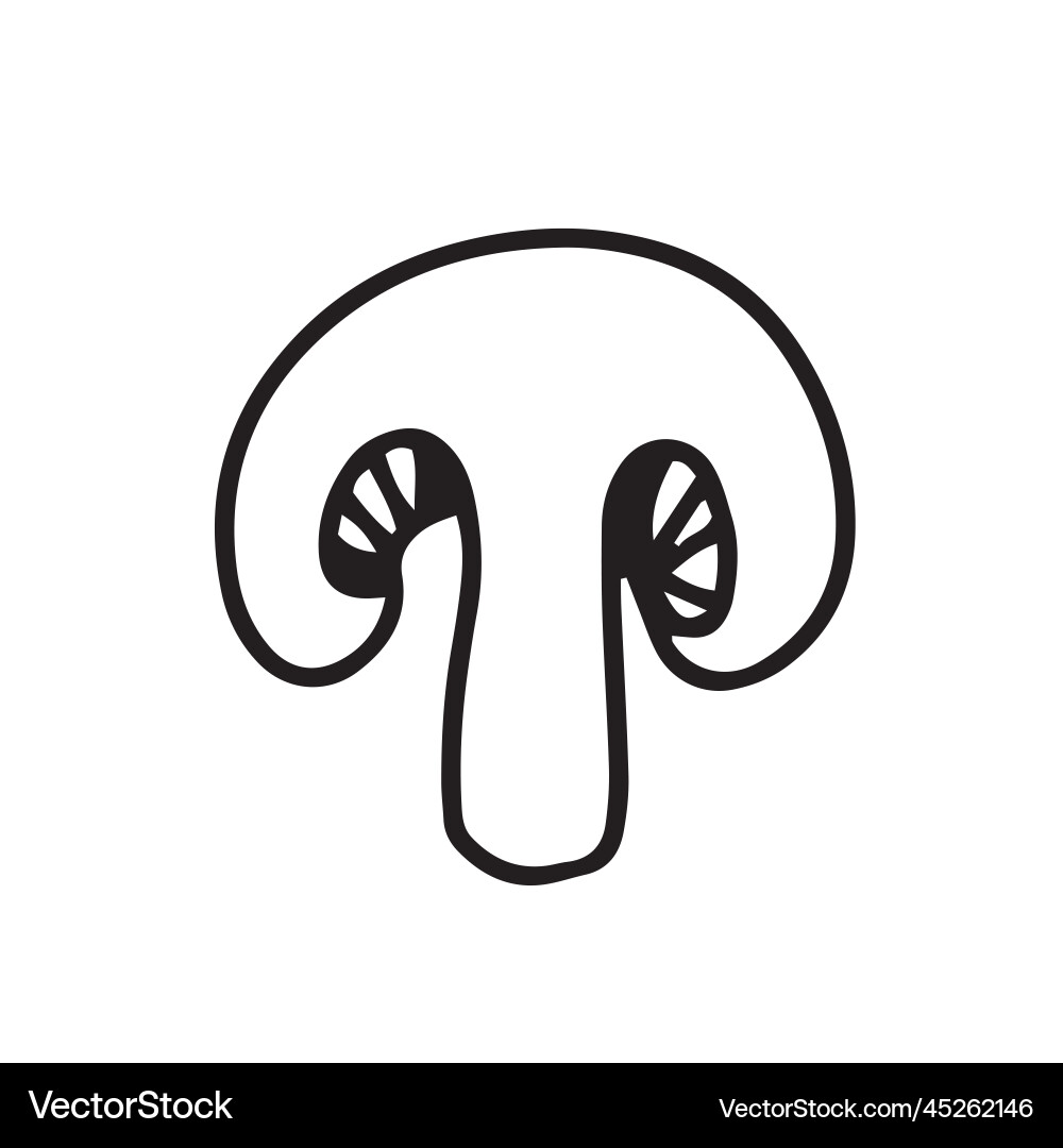Hand drawn doodle mushroom Royalty Free Vector Image