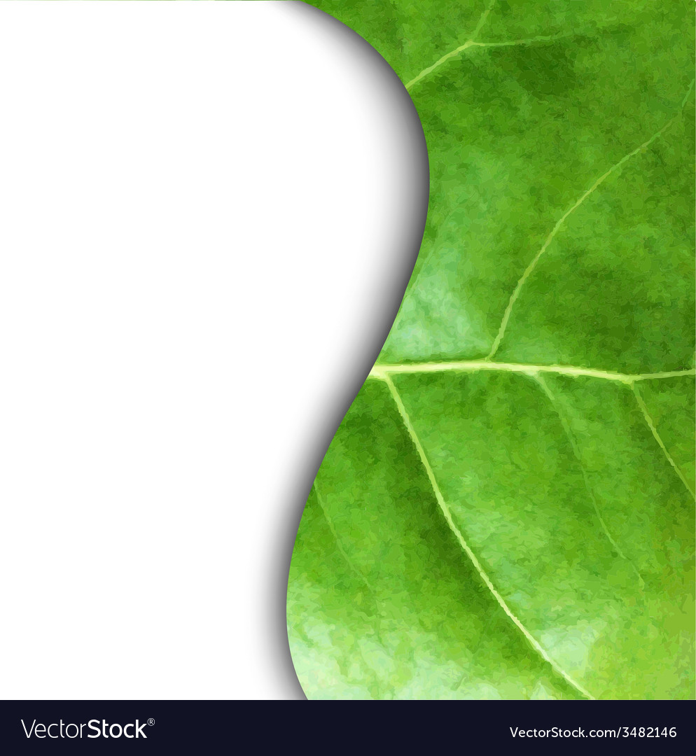 Leaf poster Royalty Free Vector Image - VectorStock