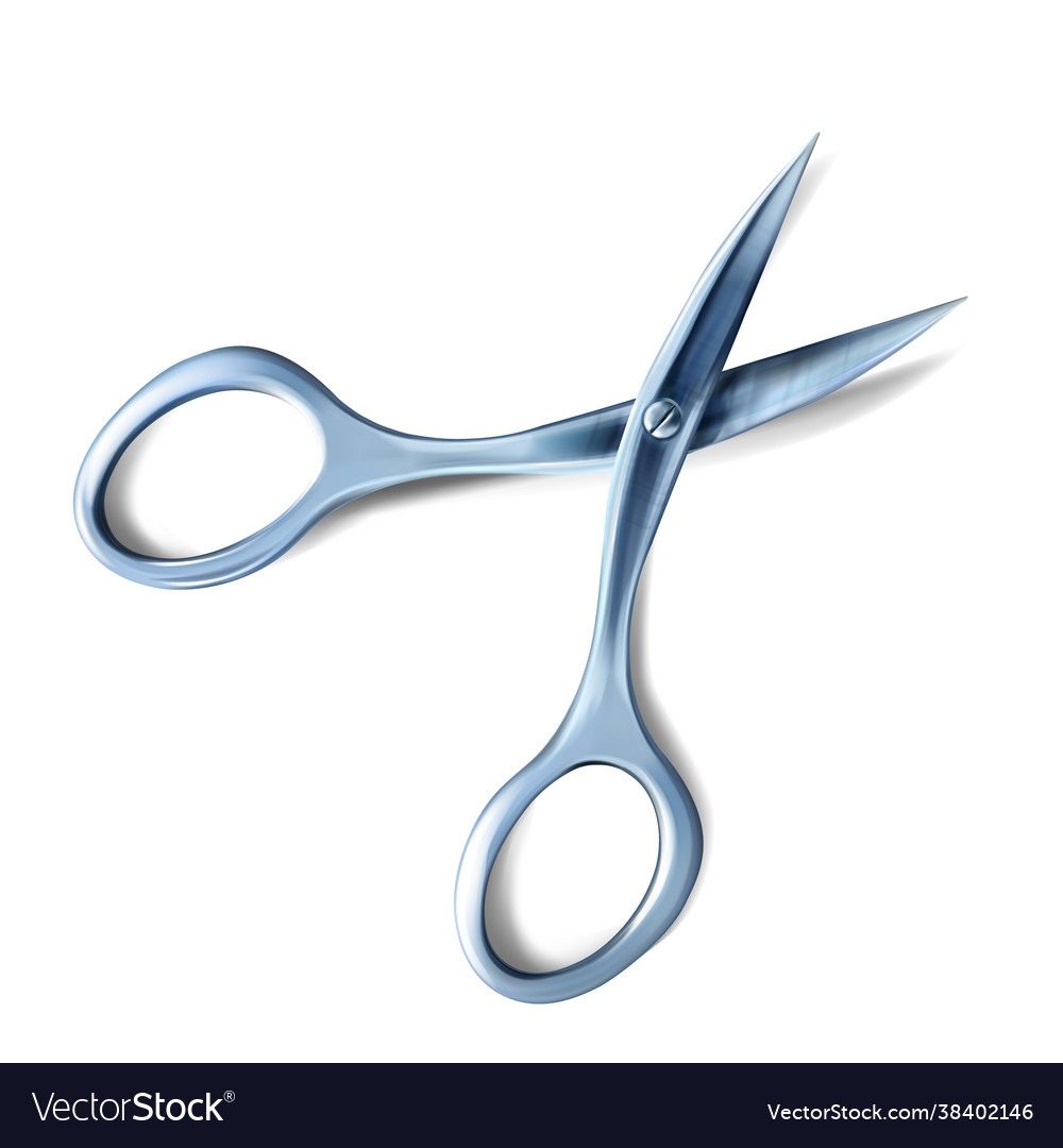 Scissors metallic realistic Royalty Free Vector Image