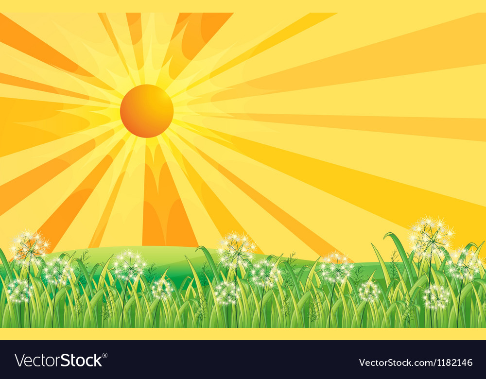 Sunshine field Royalty Free Vector Image - VectorStock