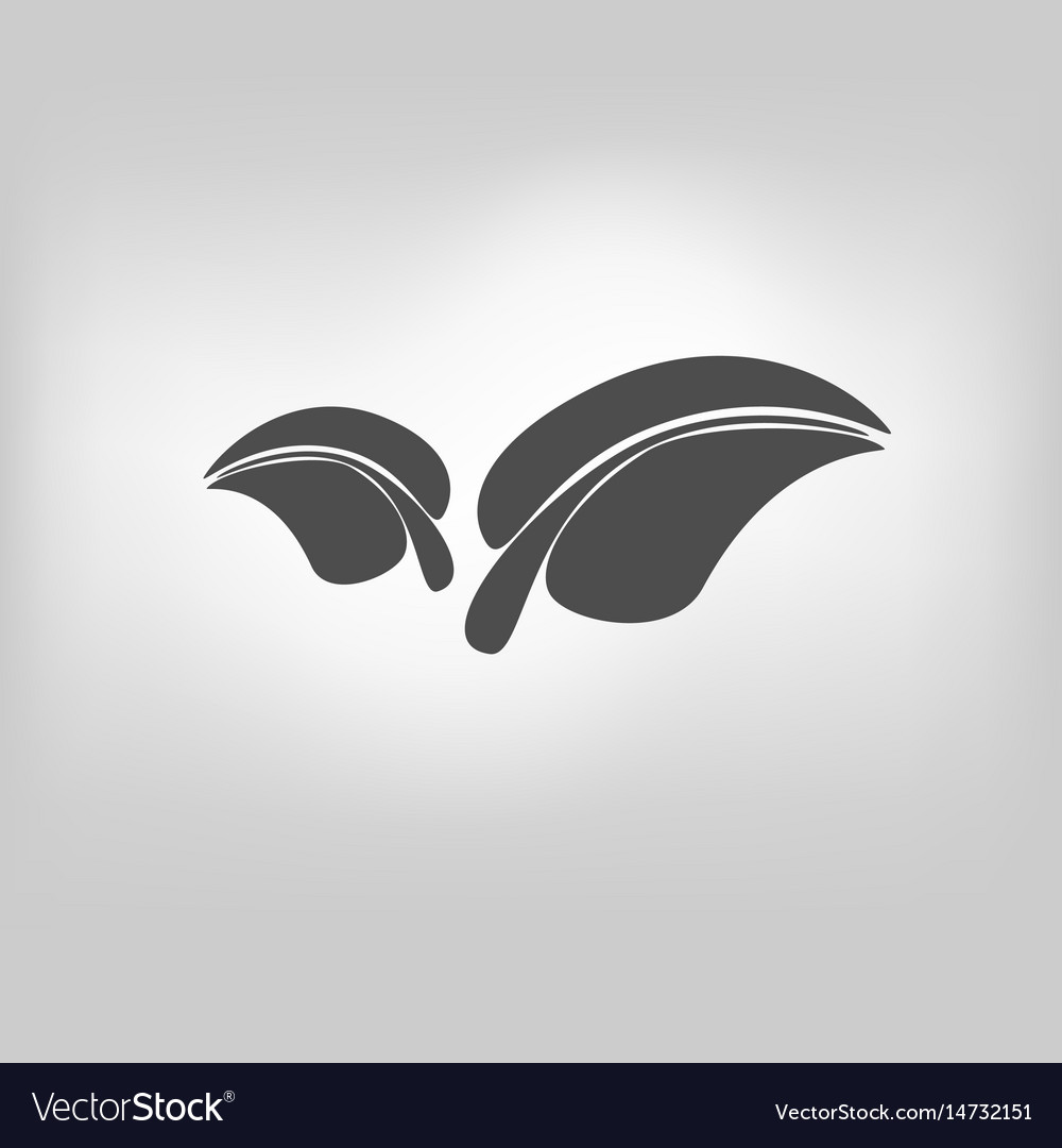 Icon leaf symbol Royalty Free Vector Image - VectorStock