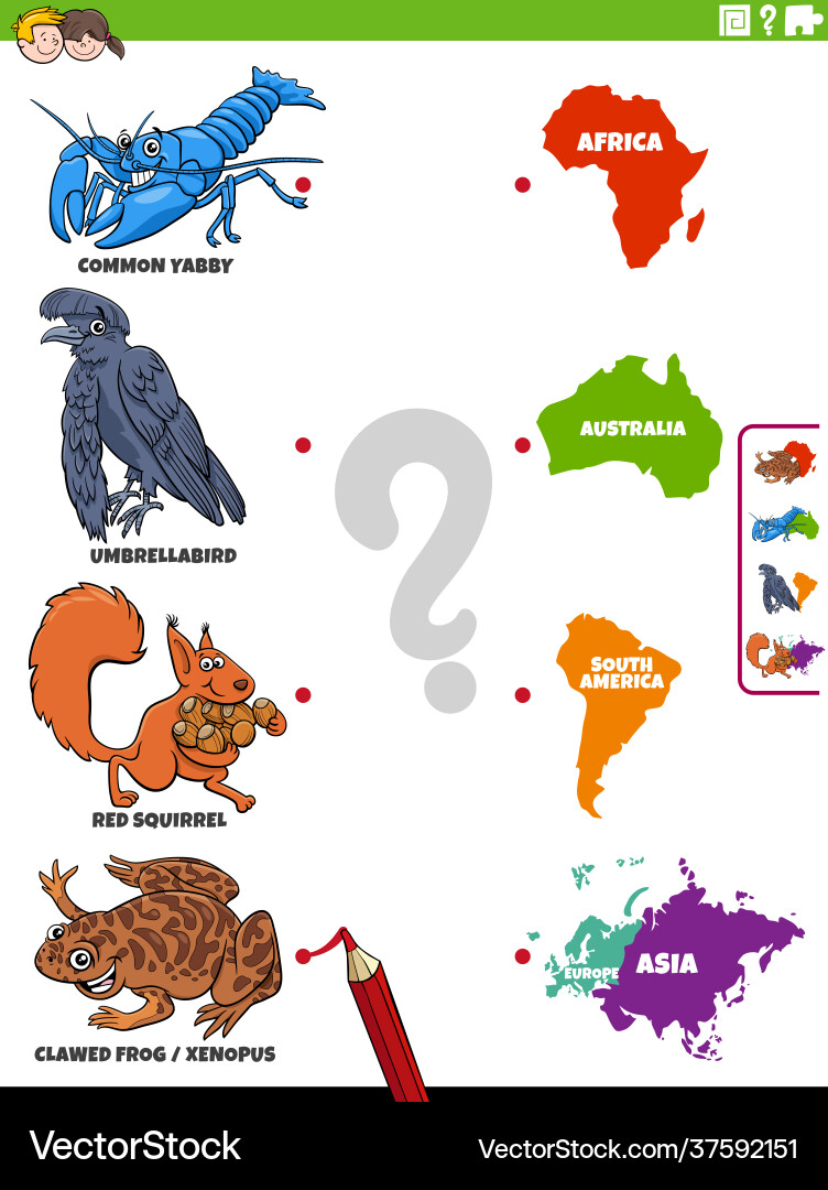 Match animal species and continents educational Vector Image