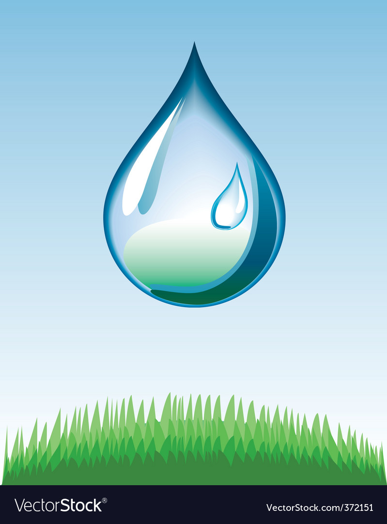 Water drop Royalty Free Vector Image - VectorStock