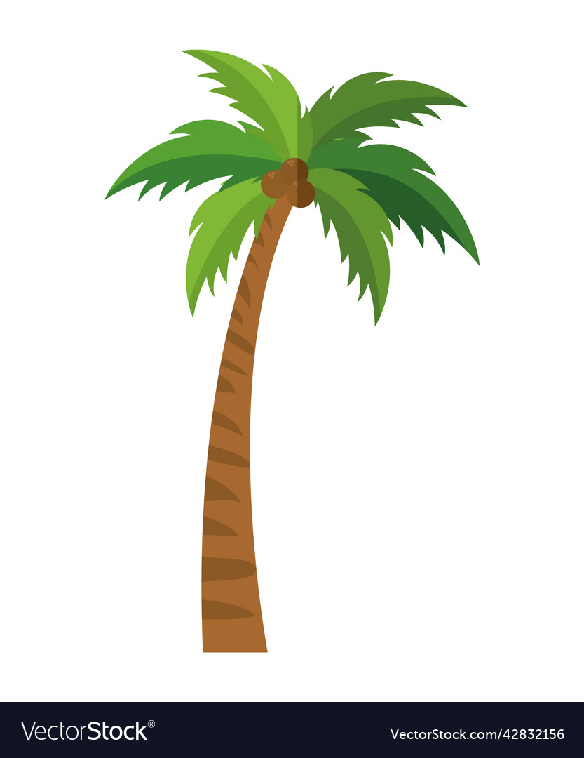 Big palm design Royalty Free Vector Image - VectorStock