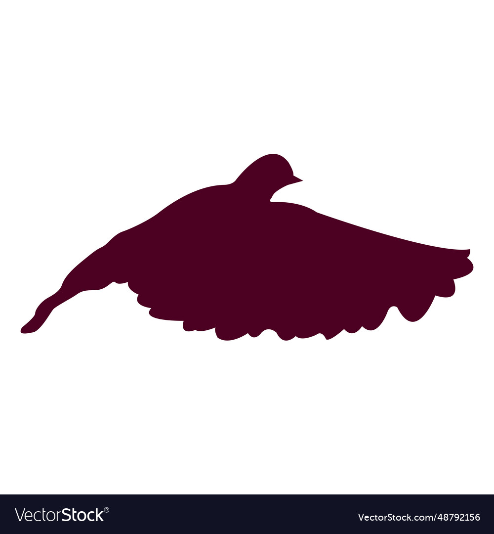 Dove flying wings down Royalty Free Vector Image