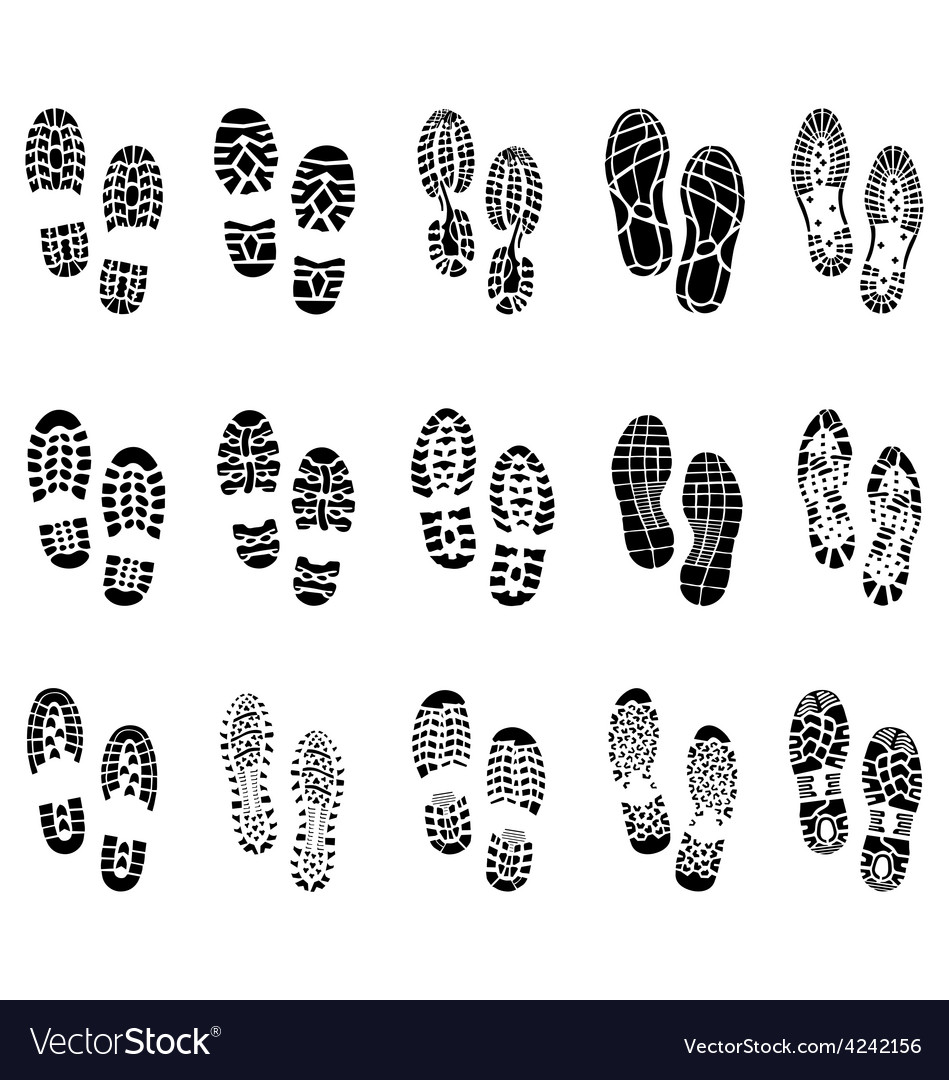 Shoes Royalty Free Vector Image - VectorStock