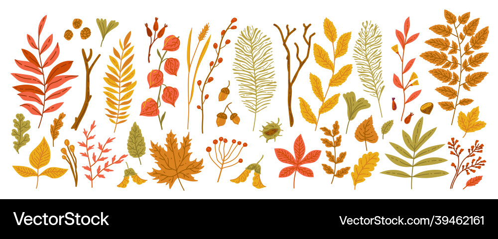 Autumn leaves and branches with berries acorns Vector Image