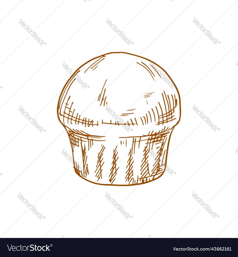 Cupcake isolated hand drawn sketch of muffin cake Vector Image