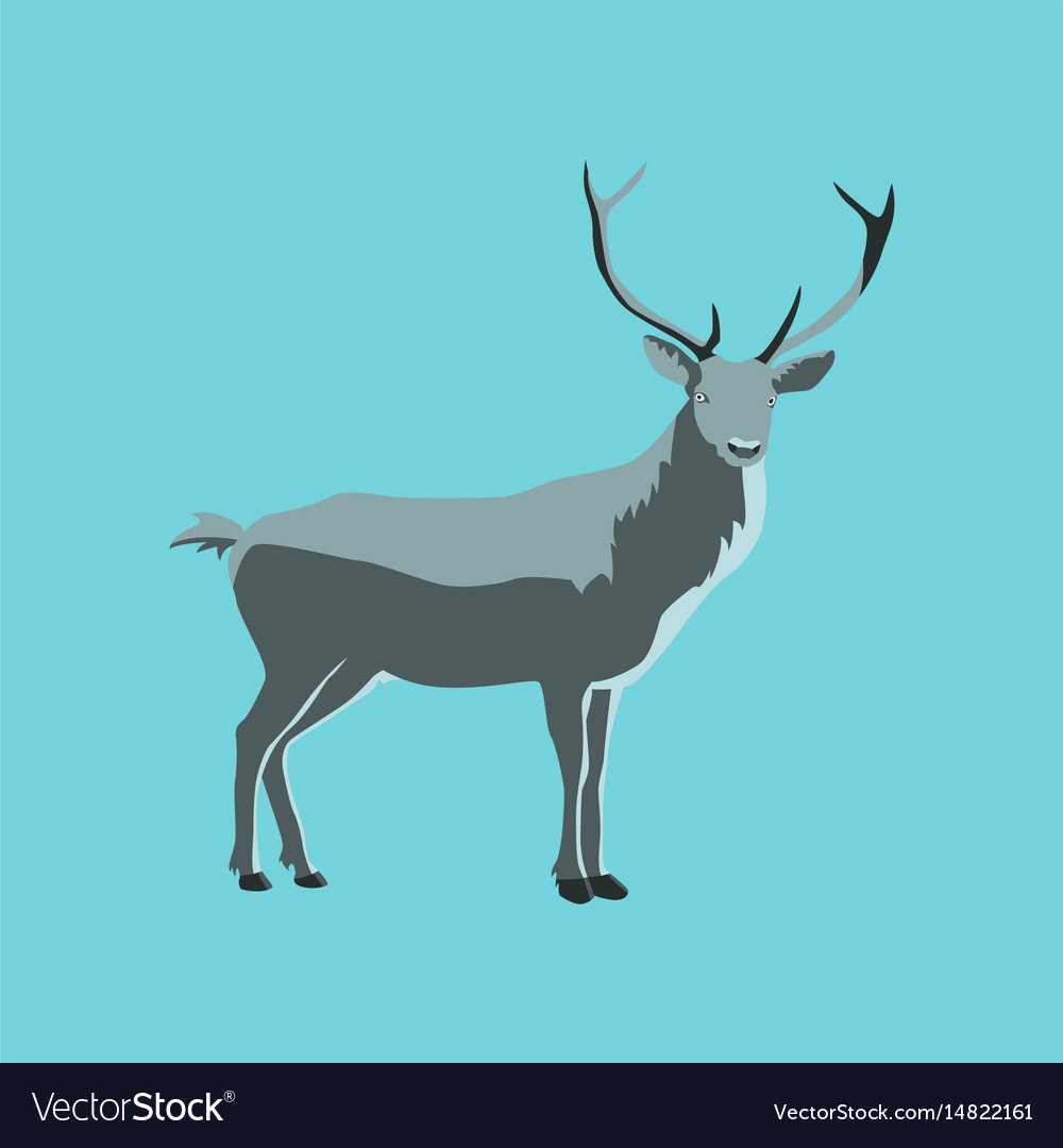 In flat style deer Royalty Free Vector Image - VectorStock