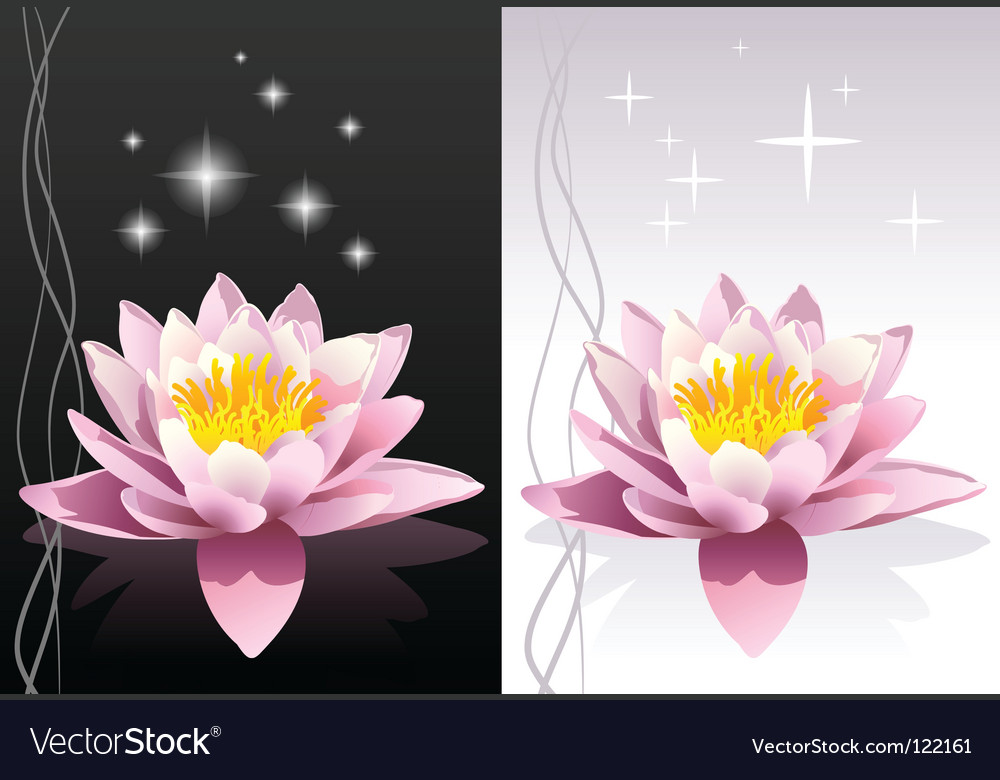 Lotus flower Royalty Free Vector Image - VectorStock