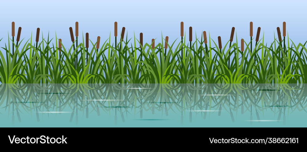 River reeds in grass pond or laje green Royalty Free Vector