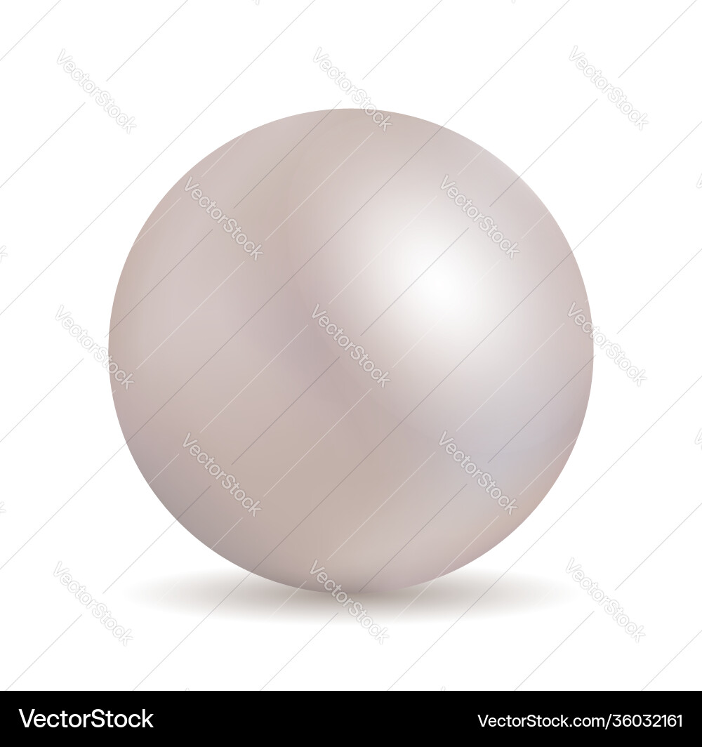 White pearl silver sphere pearl shiny jewel Vector Image
