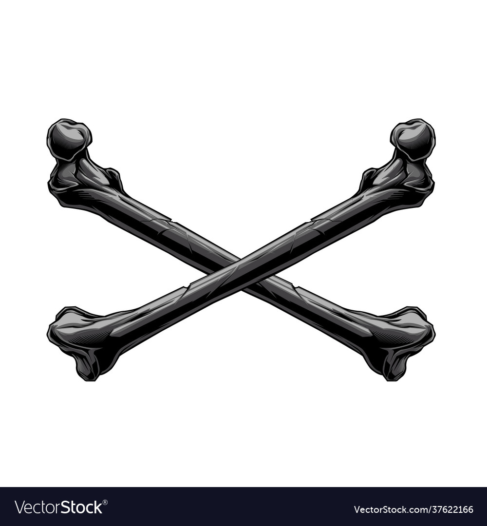 Bone Royalty Free Vector Image - VectorStock