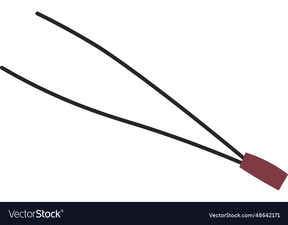 Conifer tree needles Royalty Free Vector Image