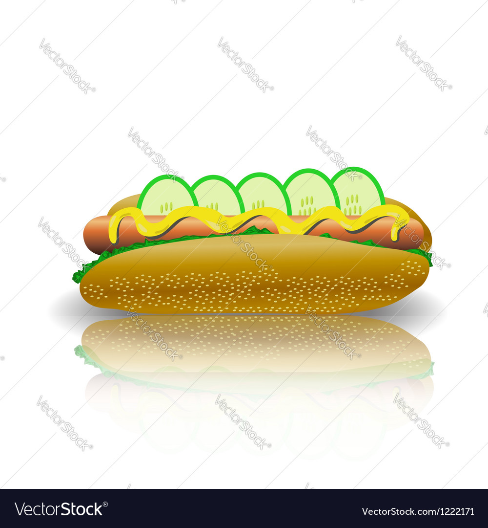 Hot dog Royalty Free Vector Image - VectorStock