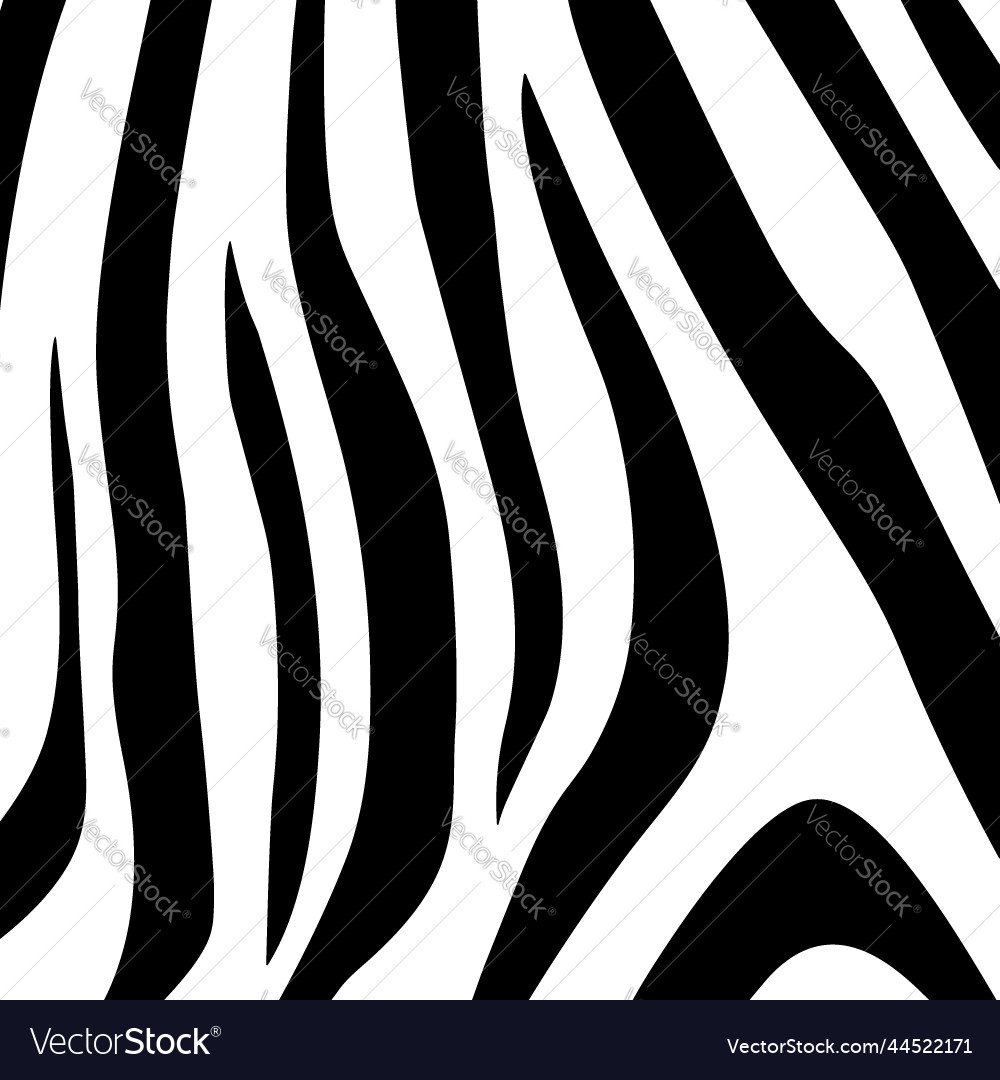 Zebra skin stripes pattern background image Vector Image