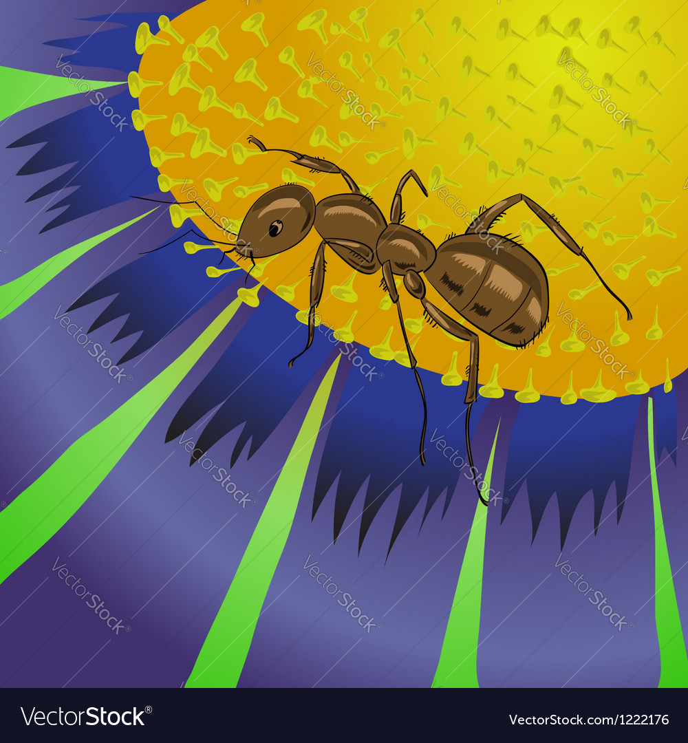 Ant Royalty Free Vector Image - VectorStock