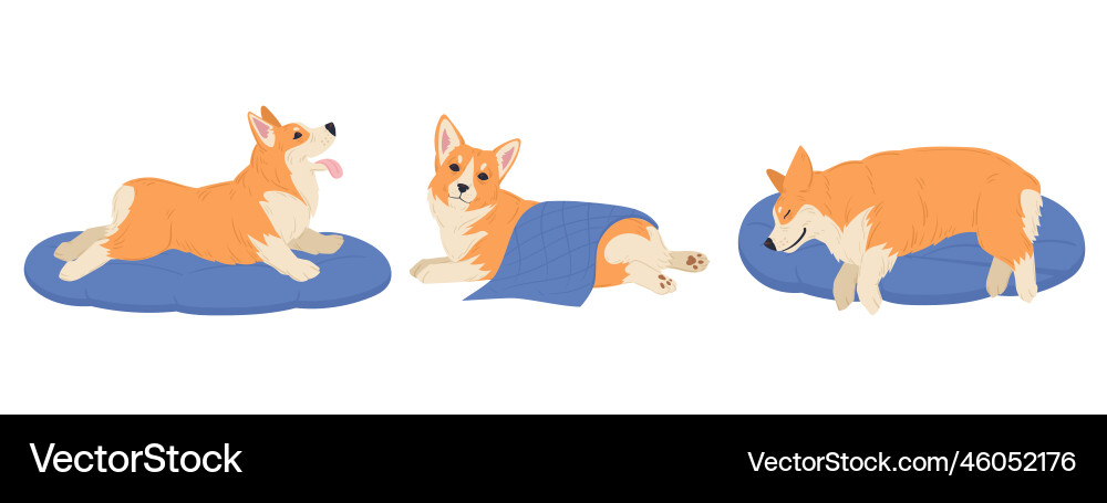 Cartoon corgi dog cute resting and sleeping Vector Image