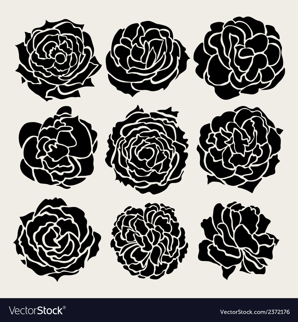 Decorative roses set Royalty Free Vector Image