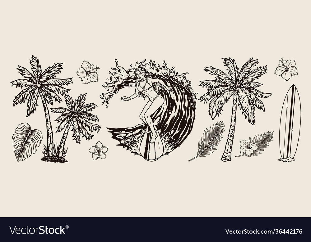 Hawaiian surfing elements set Royalty Free Vector Image