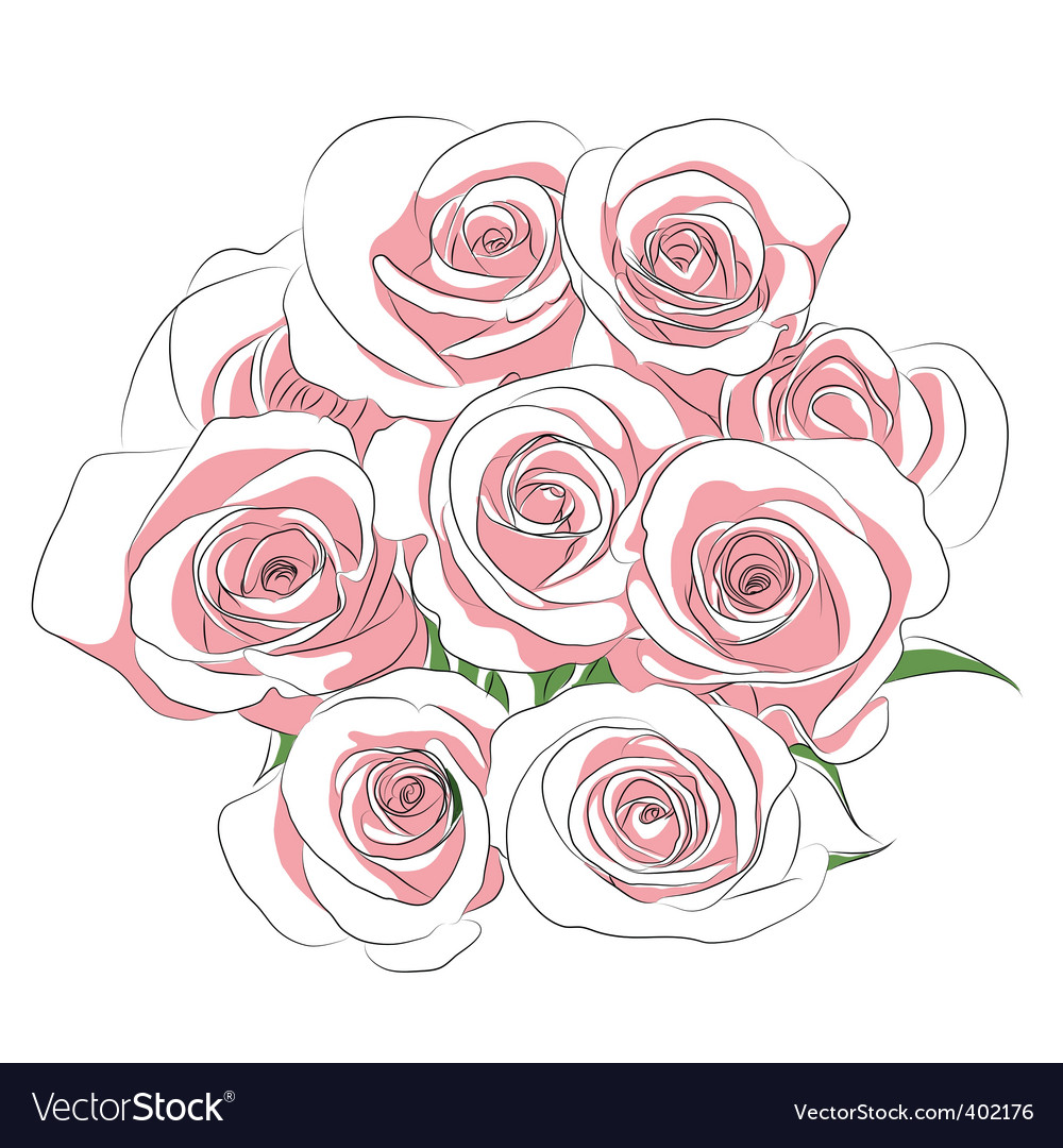 Pink roses Royalty Free Vector Image - VectorStock