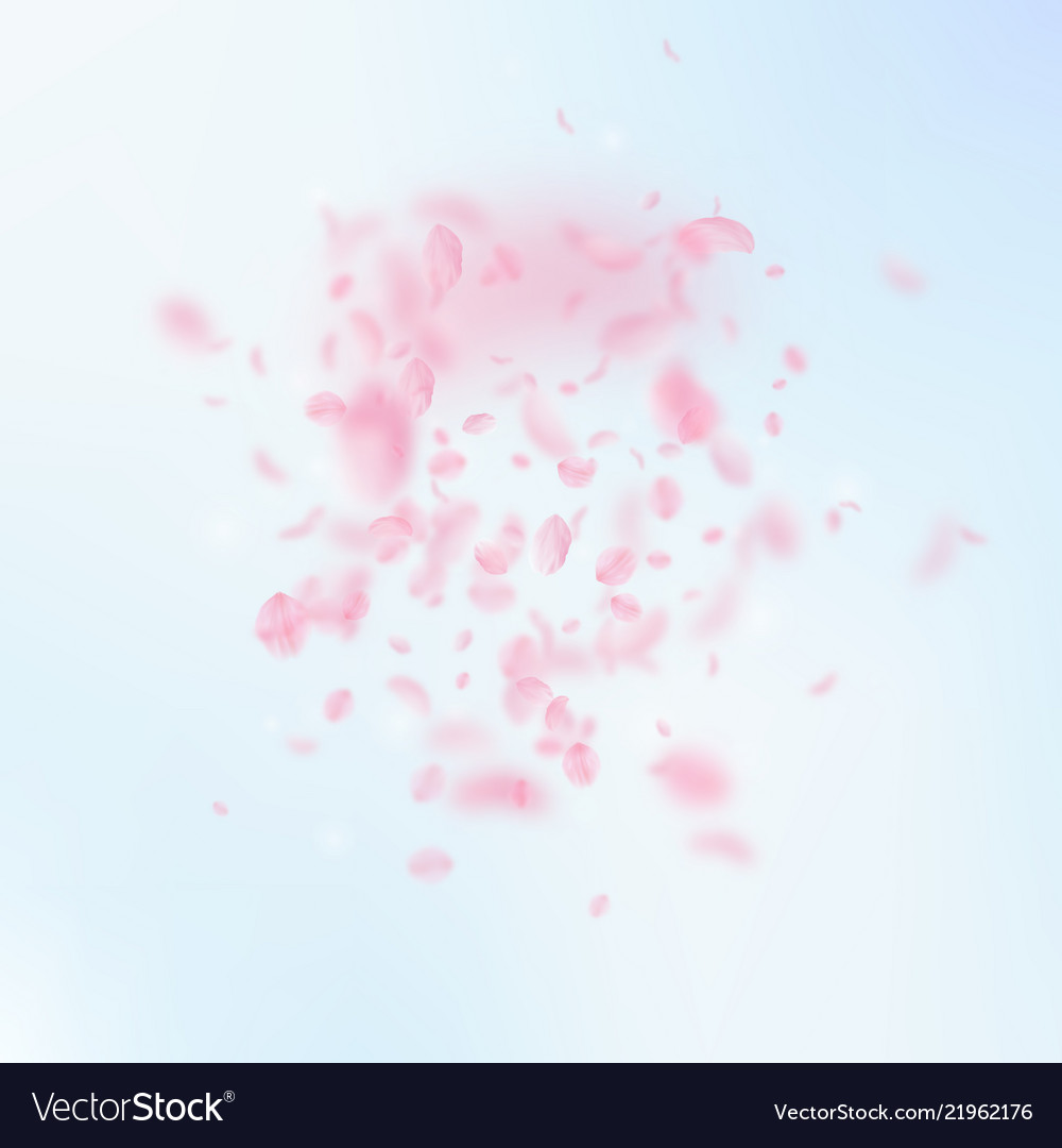 Sakura petals falling down Royalty Free Vector Image