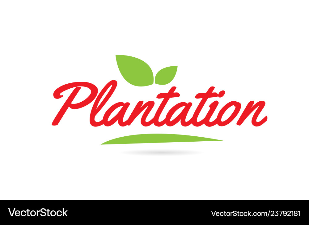 Plantation hand written word text for typography Vector Image