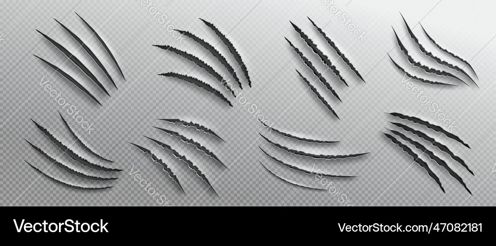 Realistic set of animal claw marks Royalty Free Vector Image