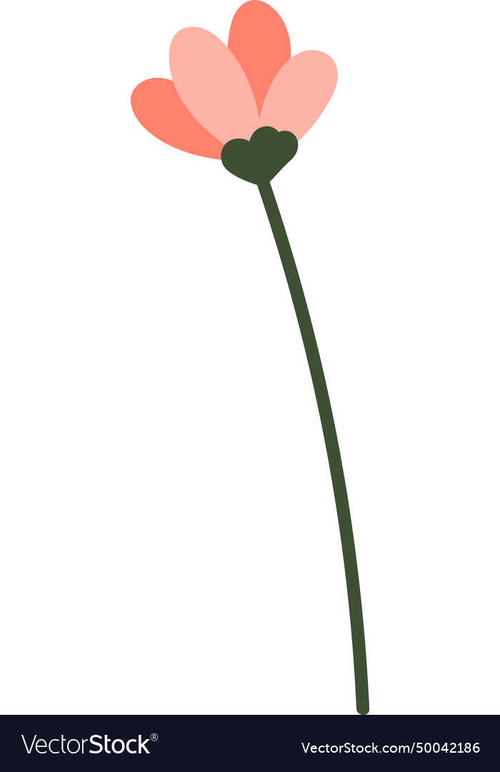Flower on stem Royalty Free Vector Image - VectorStock