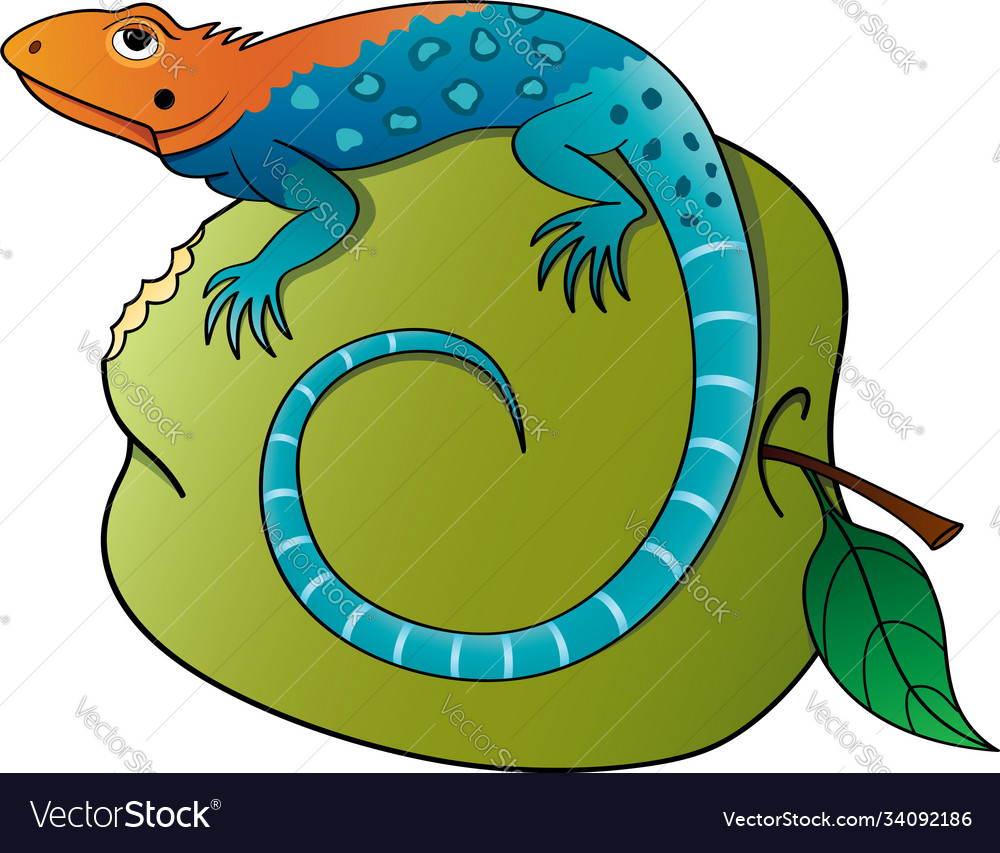 Lizard eating an apple Royalty Free Vector Image