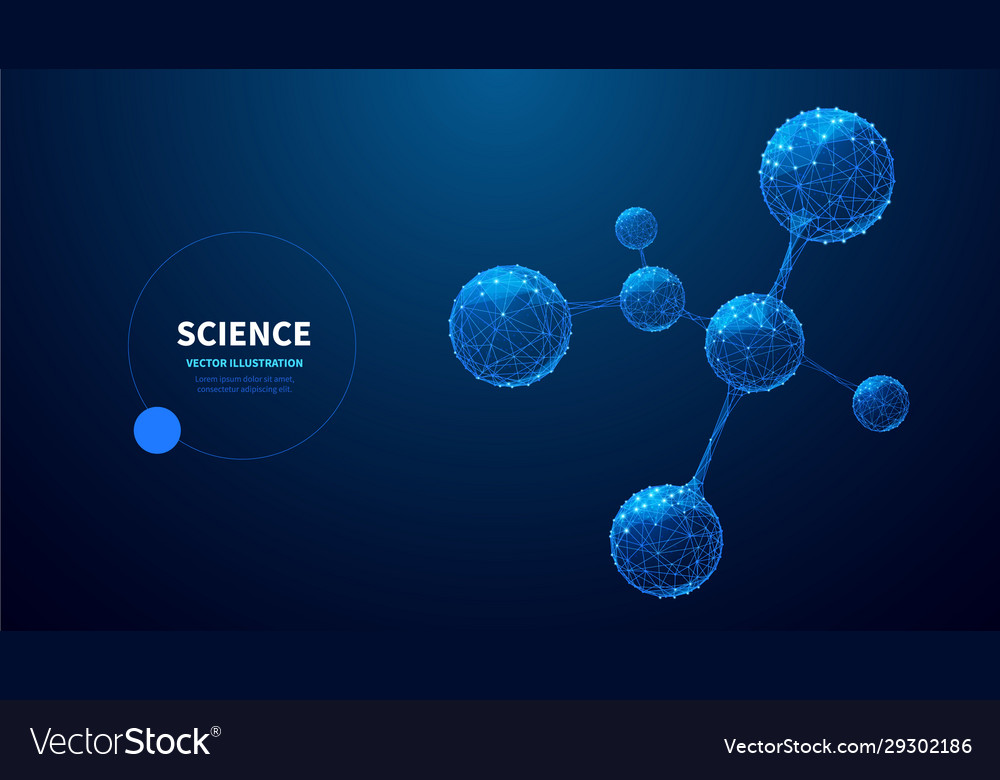 Model molecule low poly wireframe Royalty Free Vector Image