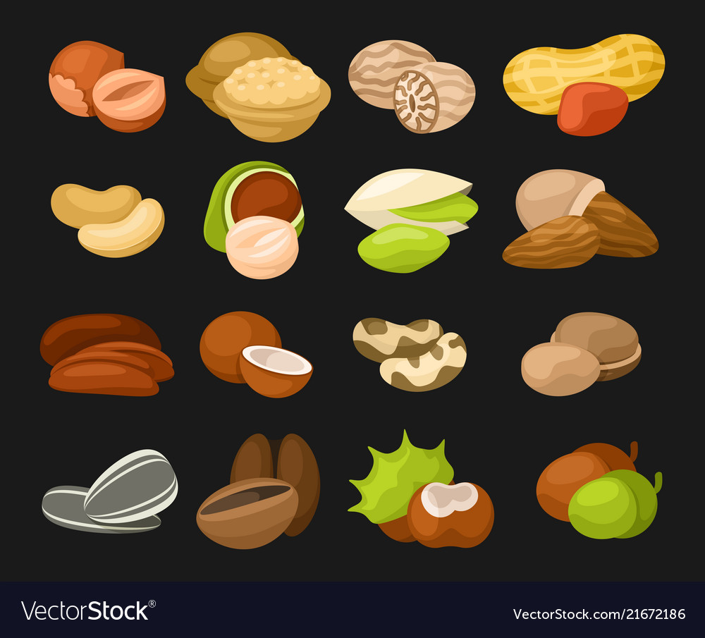 Set nuts icons Royalty Free Vector Image - VectorStock