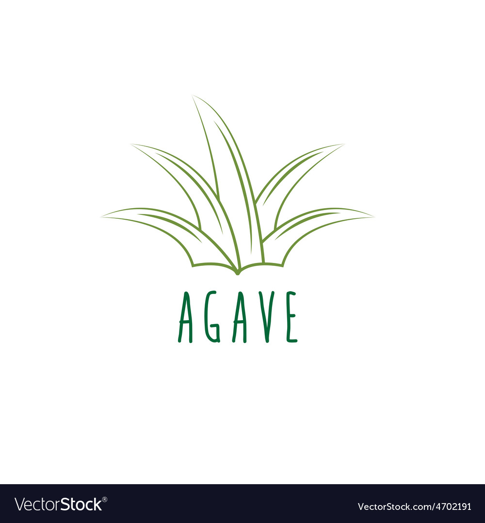 Agave design template Royalty Free Vector Image