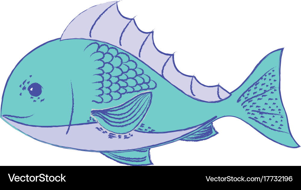 Delicious seafood fish with natural nutrition Vector Image