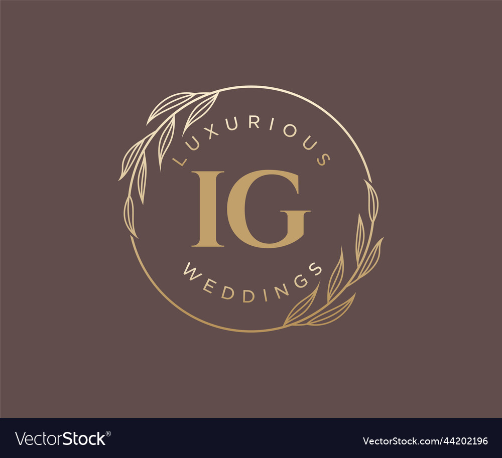 Ig initials letter wedding monogram logos Vector Image