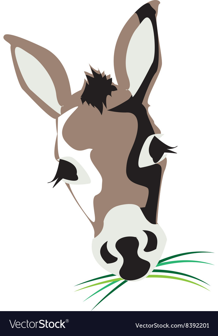 Donkey Head Royalty Free Vector Image - VectorStock