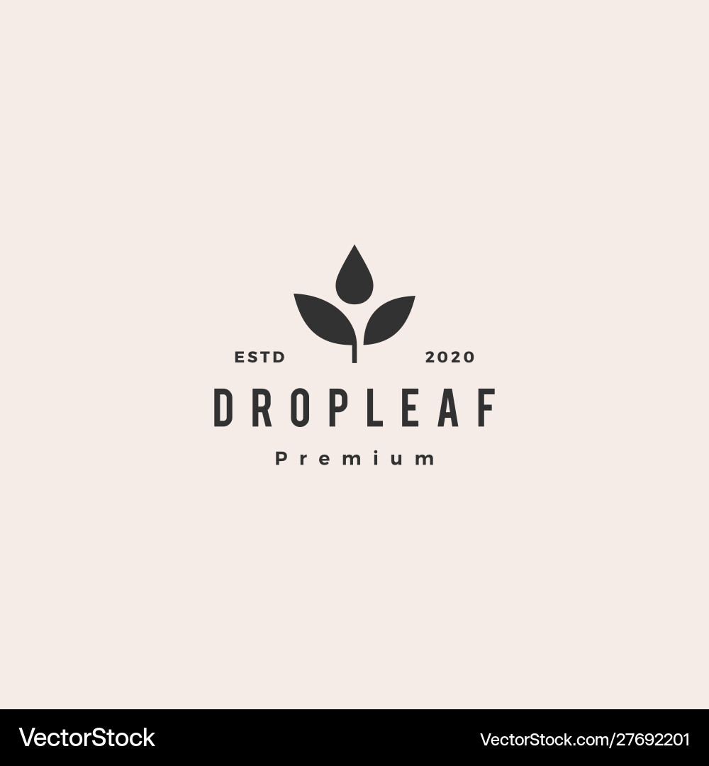 Drop leaf logo hipster retro vintage icon Vector Image